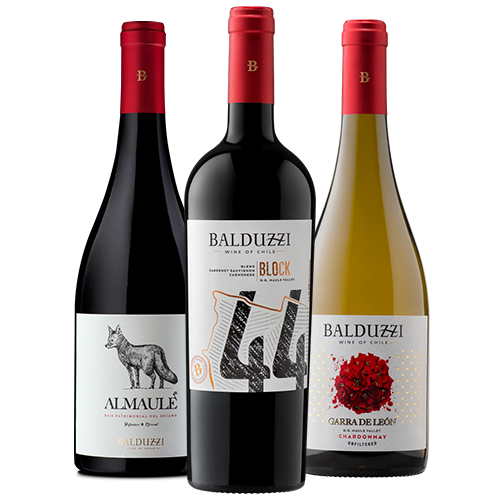 Vinos – Balduzzi Wines